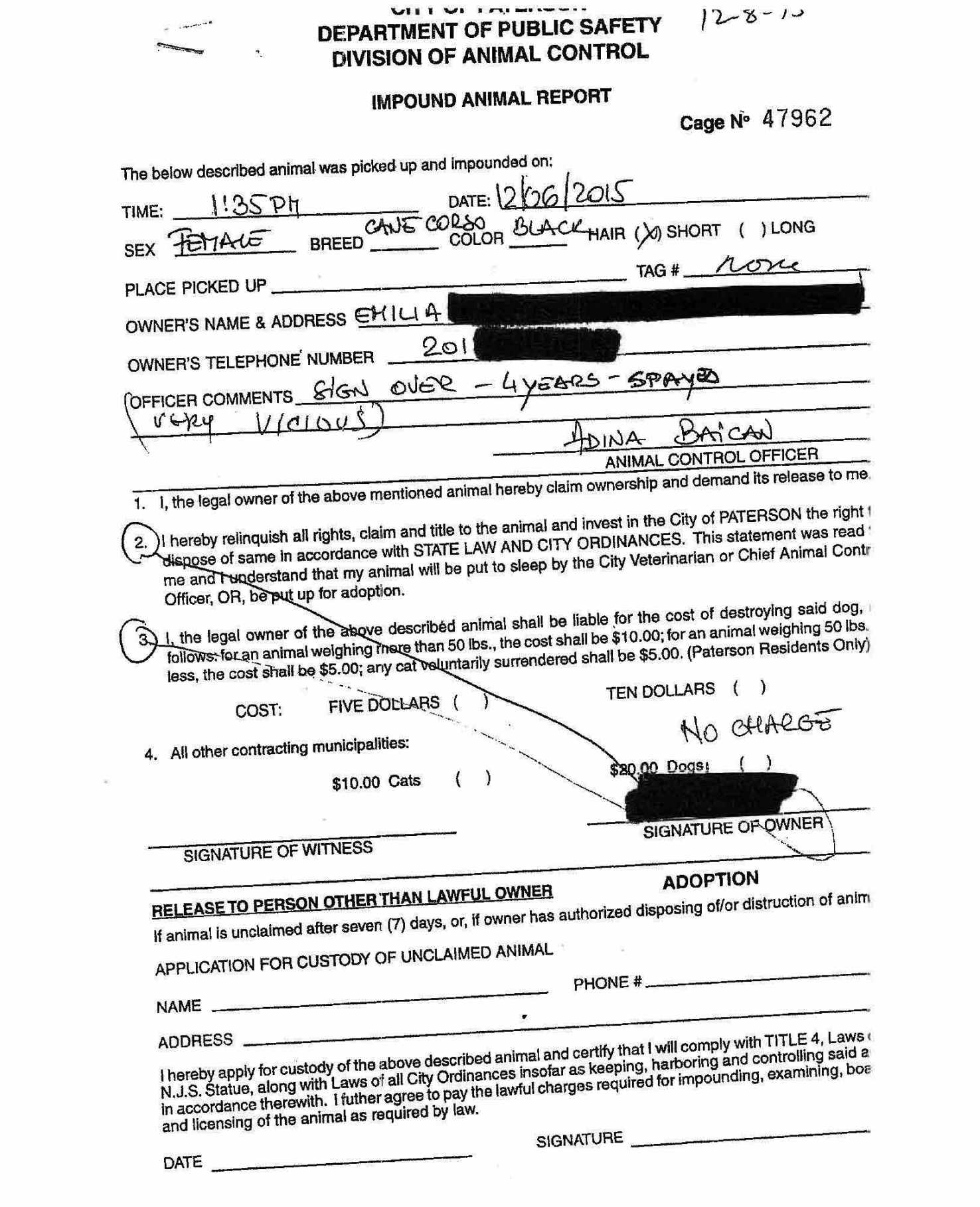 Paterson’s Pathetic Pound – Part 2: Illegal Activities | NJ Animal Observer