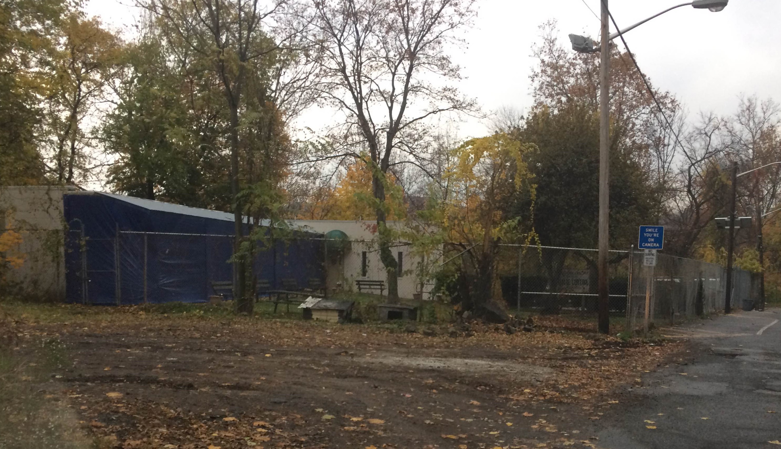 Paterson’s Pathetic Pound – Part 2: Illegal Activities | NJ Animal Observer