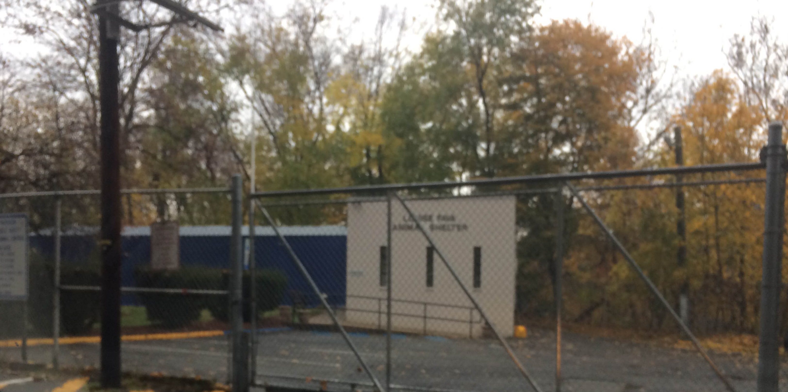 Paterson’s Pathetic Pound – Part 1: Deadly Statistics | NJ Animal Observer