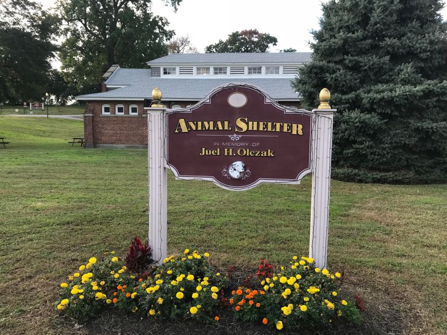 Clifton Animal Shelter Can’t Comply with State Law | NJ Animal Observer