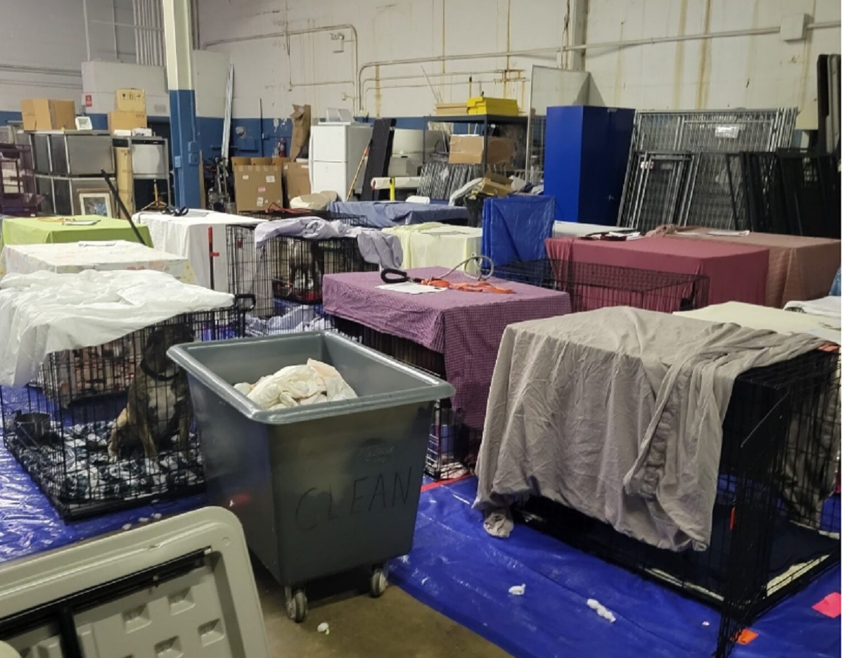 Humane Rescue Alliance’s High Kill Shelter Becomes More Cruel | NJ ...